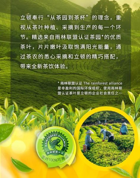 立顿奶茶广告创意亮点_立顿奶茶广告如何打动年轻人-第3张图片-山城妙识 立顿奶茶广告创意亮点_立顿奶茶广告如何打动年轻人-第3张图片-山城妙识