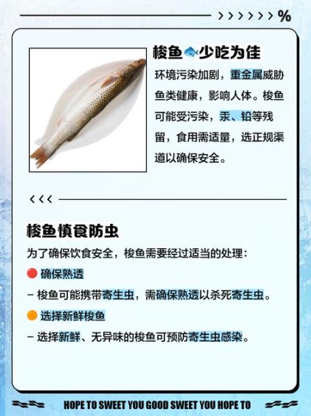 梭鱼的营养价值_梭鱼的功效与作用-第2张图片-山城妙识