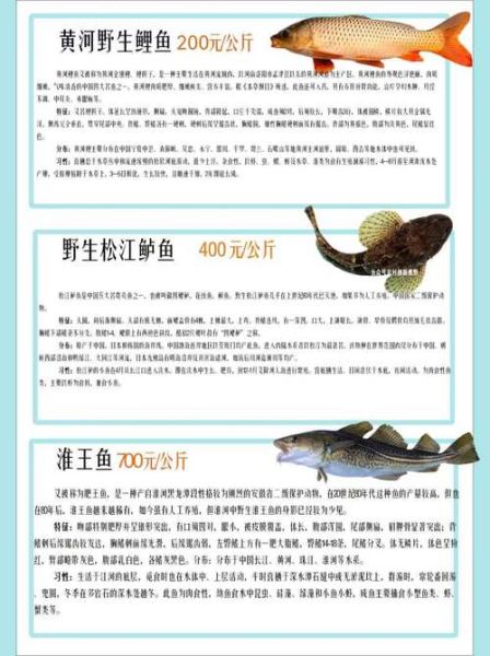 中国最贵的八种鱼有哪些_价格排行榜-第3张图片-山城妙识