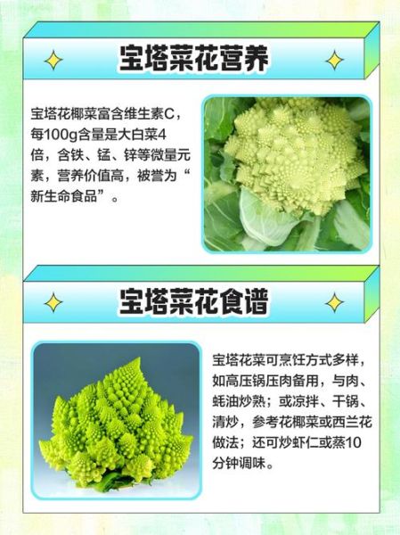 宝塔菜怎么做好吃_宝塔菜的功效与作用-第3张图片-山城妙识