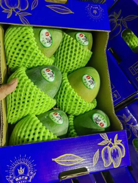 凯特芒果怎么挑_凯特芒果几月份成熟-第2张图片-山城妙识