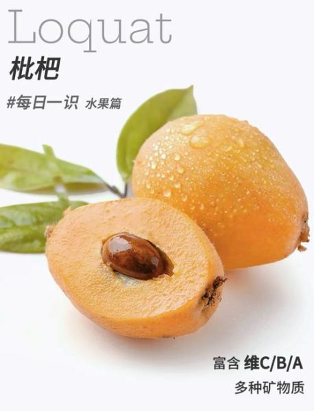 止咳化痰吃什么水果_枇杷和梨哪个更有效-第3张图片-山城妙识