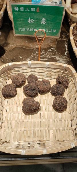 松露多少钱一斤_松露价格为什么那么贵-第2张图片-山城妙识 松露多少钱一斤_松露价格为什么那么贵-第2张图片-山城妙识