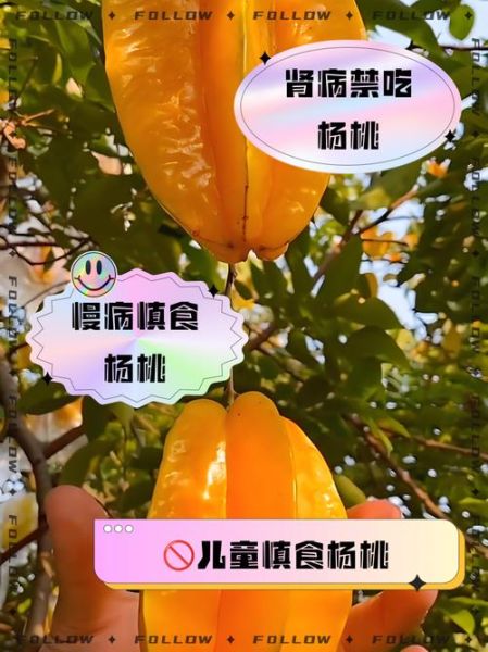 哪些水果最伤肾_肾不好能吃杨桃吗-第2张图片-山城妙识 哪些水果最伤肾_肾不好能吃杨桃吗-第2张图片-山城妙识