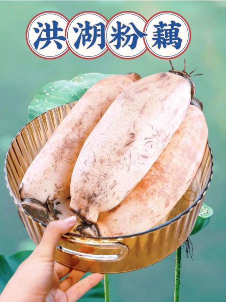 莲藕粉怎么吃_莲藕粉的正确吃法-第3张图片-山城妙识