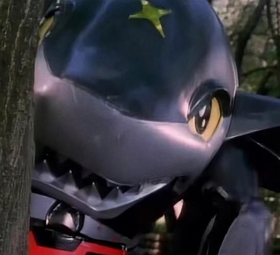 鲨鱼辣椒是什么_鲨鱼辣椒图片怎么拍好看-第1张图片-山城妙识 鲨鱼辣椒是什么_鲨鱼辣椒图片怎么拍好看-第1张图片-山城妙识