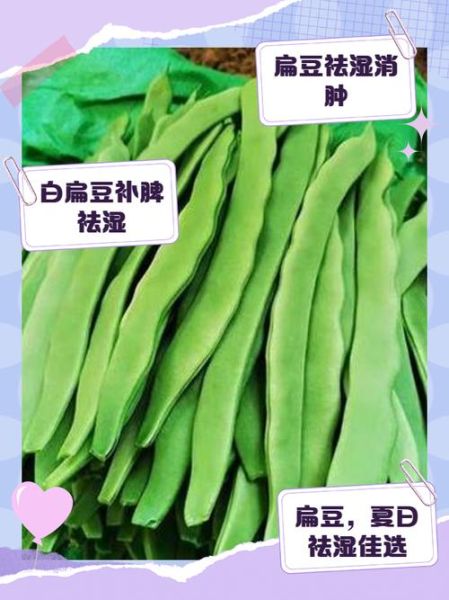 扁豆的副作用有哪些_扁豆中毒怎么办-第2张图片-山城妙识 扁豆的副作用有哪些_扁豆中毒怎么办-第2张图片-山城妙识