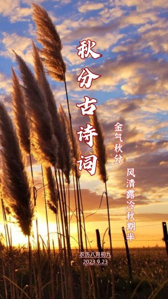 秋分古诗四句_秋分节气古诗-第2张图片-山城妙识 秋分古诗四句_秋分节气古诗-第2张图片-山城妙识