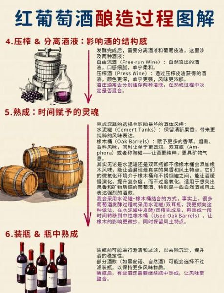 自制葡萄酒的做法步骤_家庭酿酒常见问题-第2张图片-山城妙识 自制葡萄酒的做法步骤_家庭酿酒常见问题-第2张图片-山城妙识