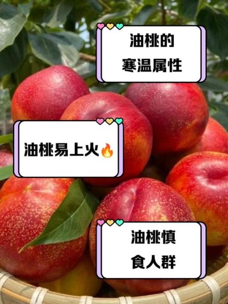 油桃是热性还是凉性_油桃上火吗-第1张图片-山城妙识
