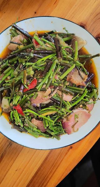 厥菜怎么做好吃_厥菜图片长什么样-第1张图片-山城妙识 厥菜怎么做好吃_厥菜图片长什么样-第1张图片-山城妙识