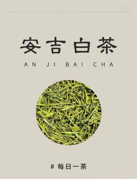 安吉白茶属于什么茶_安吉白茶是绿茶吗-第3张图片-山城妙识
