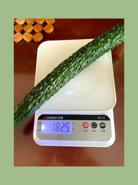 一根黄瓜的热量是多少_减肥能吃吗-第1张图片-山城妙识