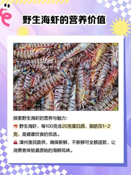 野生海虾有哪些品种_野生海虾图片大全-第1张图片-山城妙识