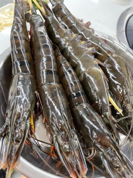 野生海虾有哪些品种_野生海虾图片大全-第2张图片-山城妙识