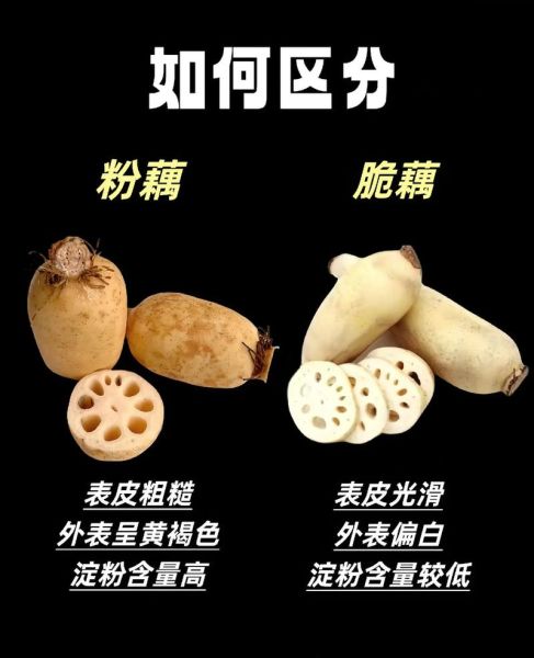 藕带是什么部位_藕带和莲藕的区别-第1张图片-山城妙识