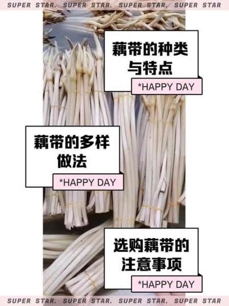 藕带是什么部位_藕带和莲藕的区别-第3张图片-山城妙识