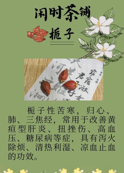 栀子有什么功效与作用_栀子主治哪些疾病-第1张图片-山城妙识 栀子有什么功效与作用_栀子主治哪些疾病-第1张图片-山城妙识