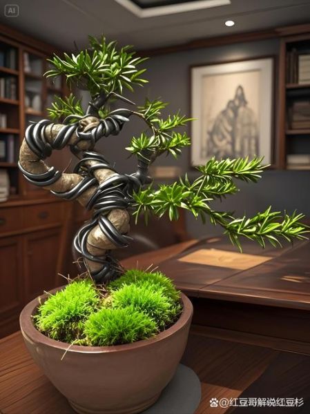 红豆杉盆景造型与修剪_如何让红豆杉盆景四季常青-第3张图片-山城妙识