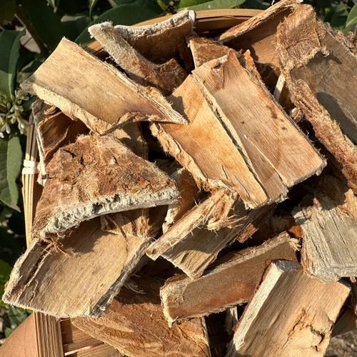 榆树皮熬水治皮肤病吗_榆树皮熬水怎么用-第1张图片-山城妙识 榆树皮熬水治皮肤病吗_榆树皮熬水怎么用-第1张图片-山城妙识