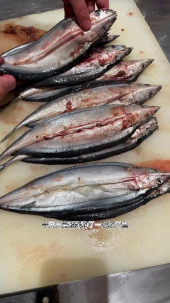 秋刀鱼的滋味是什么味道_秋刀鱼为什么有苦味-第1张图片-山城妙识