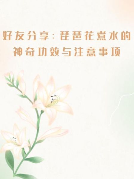枇杷花煮水的禁忌_什么人不能喝-第2张图片-山城妙识