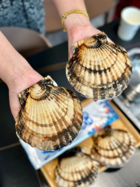 扇贝的功效与作用_扇贝的禁忌有哪些-第1张图片-山城妙识