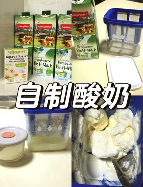 酸奶的简单做法_酸奶发酵失败怎么办-第2张图片-山城妙识 酸奶的简单做法_酸奶发酵失败怎么办-第2张图片-山城妙识