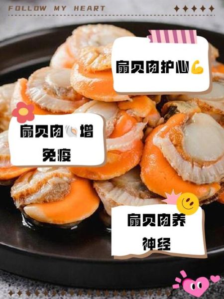 扇贝的功效与作用_扇贝的禁忌有哪些-第3张图片-山城妙识