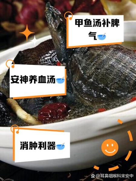 乌鸡甲鱼汤的功效与禁忌_孕妇能喝吗-第2张图片-山城妙识 乌鸡甲鱼汤的功效与禁忌_孕妇能喝吗-第2张图片-山城妙识