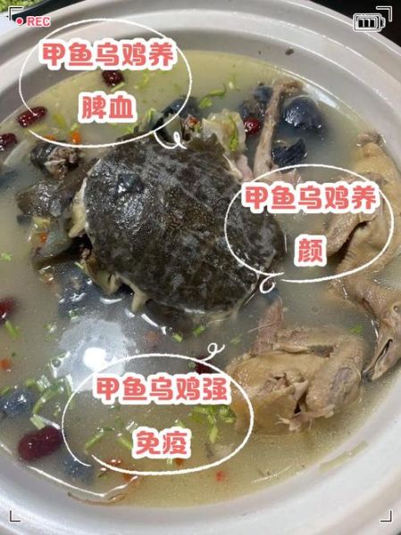 乌鸡甲鱼汤的功效与禁忌_孕妇能喝吗-第1张图片-山城妙识 乌鸡甲鱼汤的功效与禁忌_孕妇能喝吗-第1张图片-山城妙识
