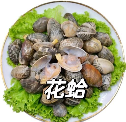 蛤蜊怎么读_蛤蜊的读音是什么-第2张图片-山城妙识