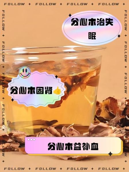 核桃汁的功效与作用_核桃汁怎么喝最营养-第3张图片-山城妙识 核桃汁的功效与作用_核桃汁怎么喝最营养-第3张图片-山城妙识