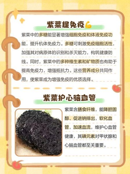 紫菜的营养价值_紫菜什么人不能吃-第2张图片-山城妙识 紫菜的营养价值_紫菜什么人不能吃-第2张图片-山城妙识