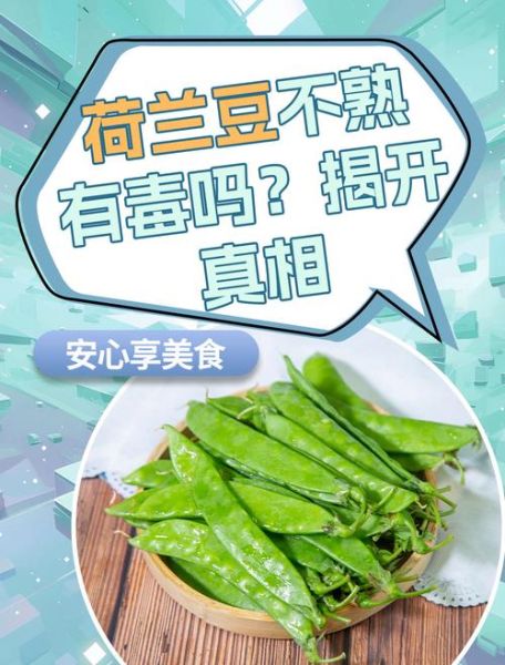 荷兰豆要煮多久才安全_荷兰豆没煮熟会中毒吗-第1张图片-山城妙识