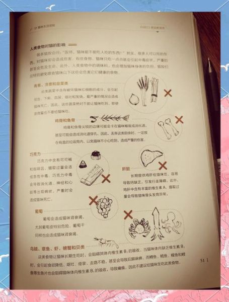 为什么不能吃猫肉_民间传说禁忌-第3张图片-山城妙识