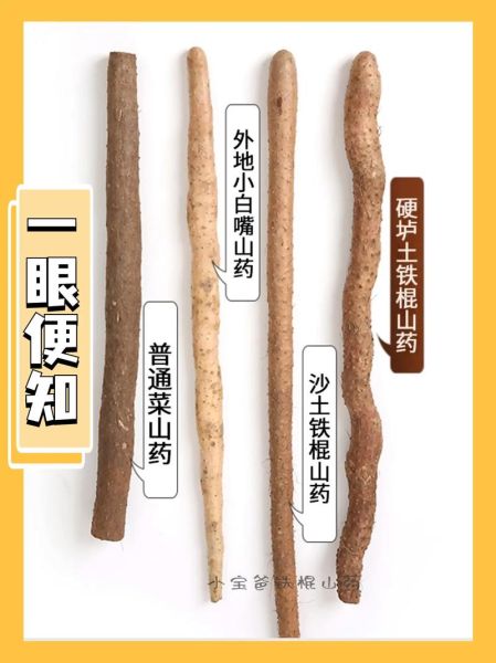 淮山药和怀山药的区别_哪个更好-第2张图片-山城妙识