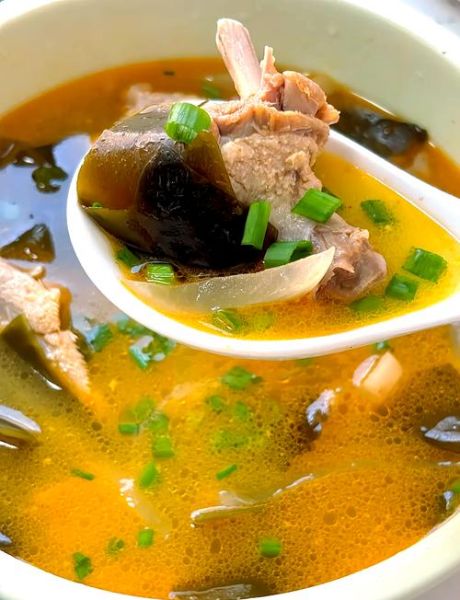 酸萝卜炖鸭子怎么做好吃_酸萝卜老鸭汤做法窍门-第1张图片-山城妙识