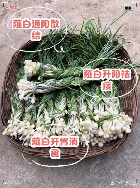薤白是什么东西_薤白和藠头一样吗-第1张图片-山城妙识