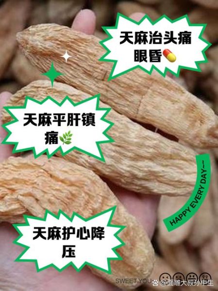 新鲜天麻怎么吃_新鲜天麻的功效与作用-第3张图片-山城妙识