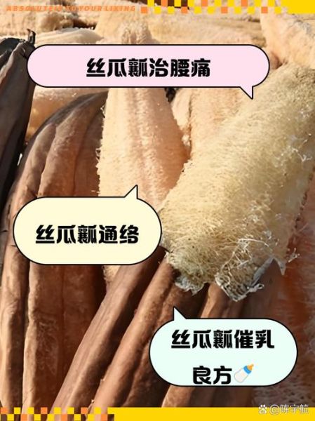 丝瓜络能煮几次_丝瓜络反复煮水安全吗-第2张图片-山城妙识