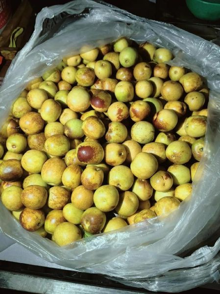 冬枣多少钱一斤_2024年最新价格行情-第3张图片-山城妙识 冬枣多少钱一斤_2024年最新价格行情-第3张图片-山城妙识