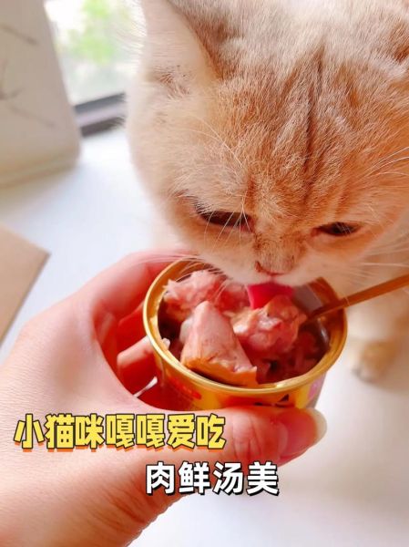 吞拿鱼怎么做好吃_吞拿鱼罐头健康吗-第2张图片-山城妙识 吞拿鱼怎么做好吃_吞拿鱼罐头健康吗-第2张图片-山城妙识