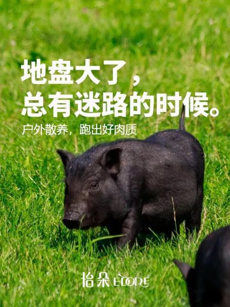 四川粽子品牌有哪些_正宗川味粽子推荐-第3张图片-山城妙识