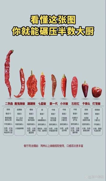 辣椒辣度排行榜_哪种辣椒最辣-第1张图片-山城妙识 辣椒辣度排行榜_哪种辣椒最辣-第1张图片-山城妙识