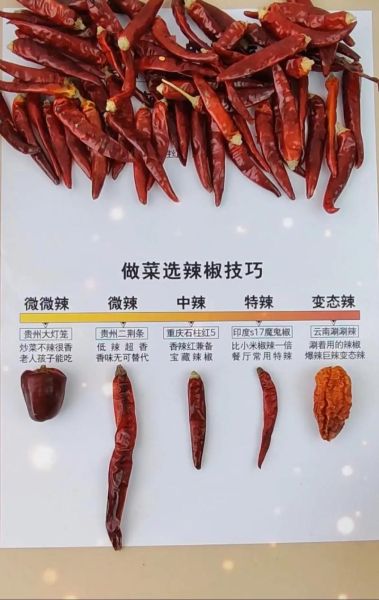 辣椒辣度排行榜_哪种辣椒最辣-第2张图片-山城妙识 辣椒辣度排行榜_哪种辣椒最辣-第2张图片-山城妙识