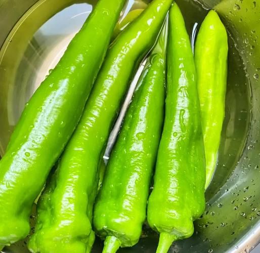 虎皮辣椒怎么做才够味_虎皮辣椒图片高清细节-第2张图片-山城妙识