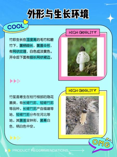 竹笙和竹荪的区别_竹笙和竹荪哪个更好-第1张图片-山城妙识 竹笙和竹荪的区别_竹笙和竹荪哪个更好-第1张图片-山城妙识