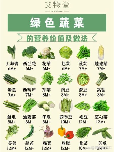 蔬菜的营养价值有哪些_蔬菜怎么吃最健康-第2张图片-山城妙识 蔬菜的营养价值有哪些_蔬菜怎么吃最健康-第2张图片-山城妙识
