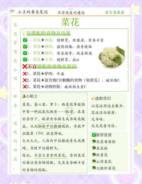 蔬菜的营养价值有哪些_蔬菜怎么吃最健康-第3张图片-山城妙识 蔬菜的营养价值有哪些_蔬菜怎么吃最健康-第3张图片-山城妙识